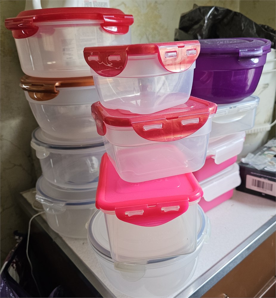 Great Finds Online Auctions - Lock n' Lock Containers