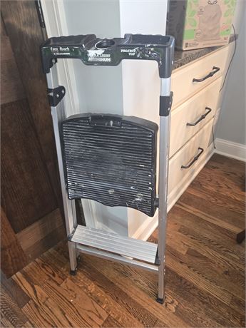 Great Finds Online Auctions - Gorilla Easy Reach Ultra Light Step Ladder