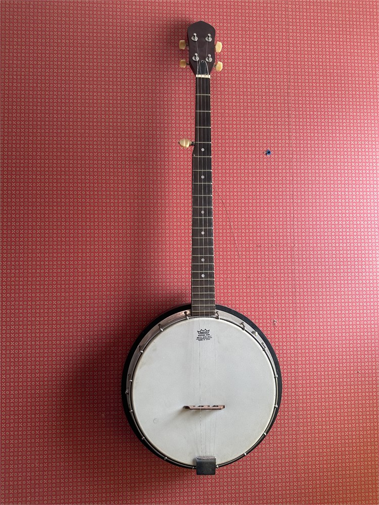 Great Finds Online Auctions - Remo Weather King Banjo