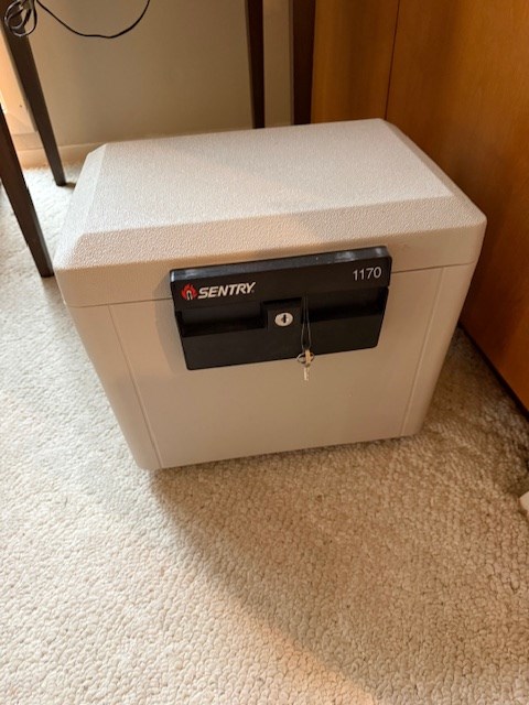 Great Finds Online Auctions - Sentry 1170 Fireproof Safe/File Box