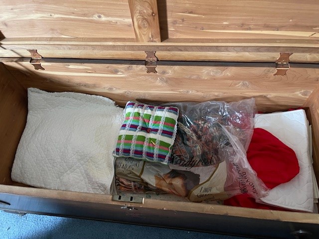 Great Finds Online Auctions - Trunk Contents Buyout Lot