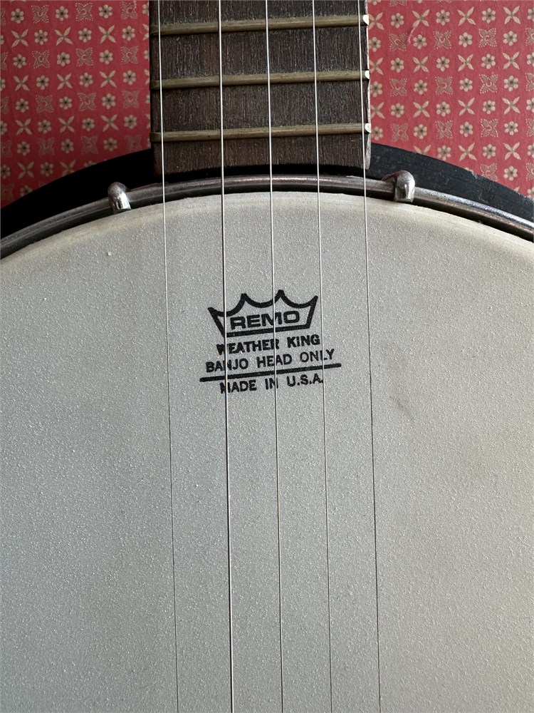 Great Finds Online Auctions - Remo Weather King Banjo
