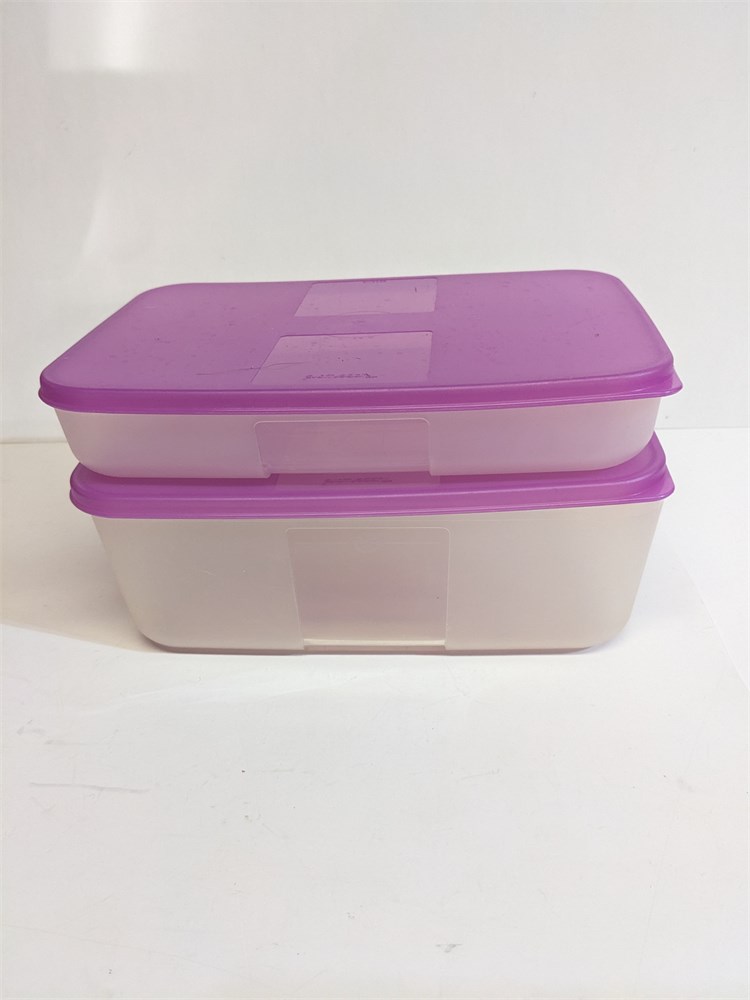 Great Finds Online Auctions - Tupperware Freezer Mates Containers