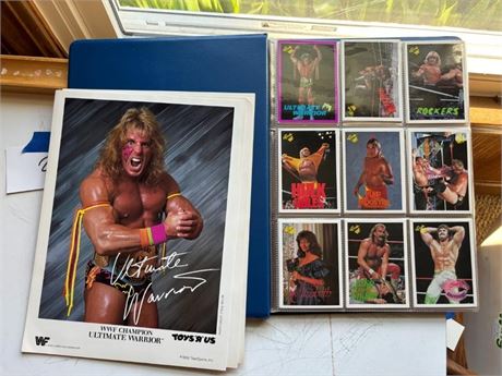 Great Finds Online Auctions - VINTAGE WWF TRADING CARDS