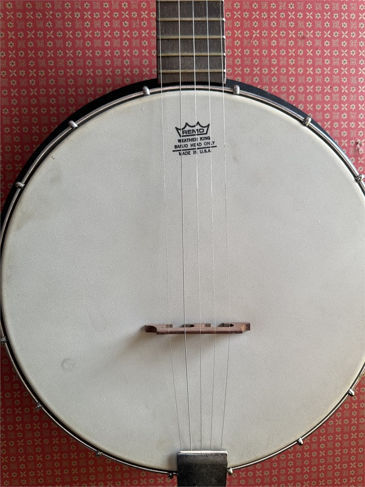 Great Finds Online Auctions - Remo Weather King Banjo