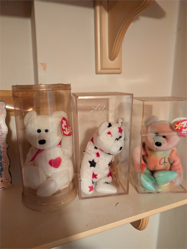 Great Finds Online Auctions - Ty Beanie Babies in Display Cases