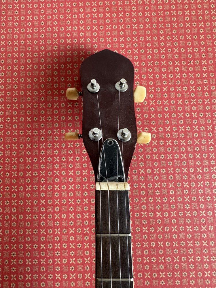 Great Finds Online Auctions - Remo Weather King Banjo